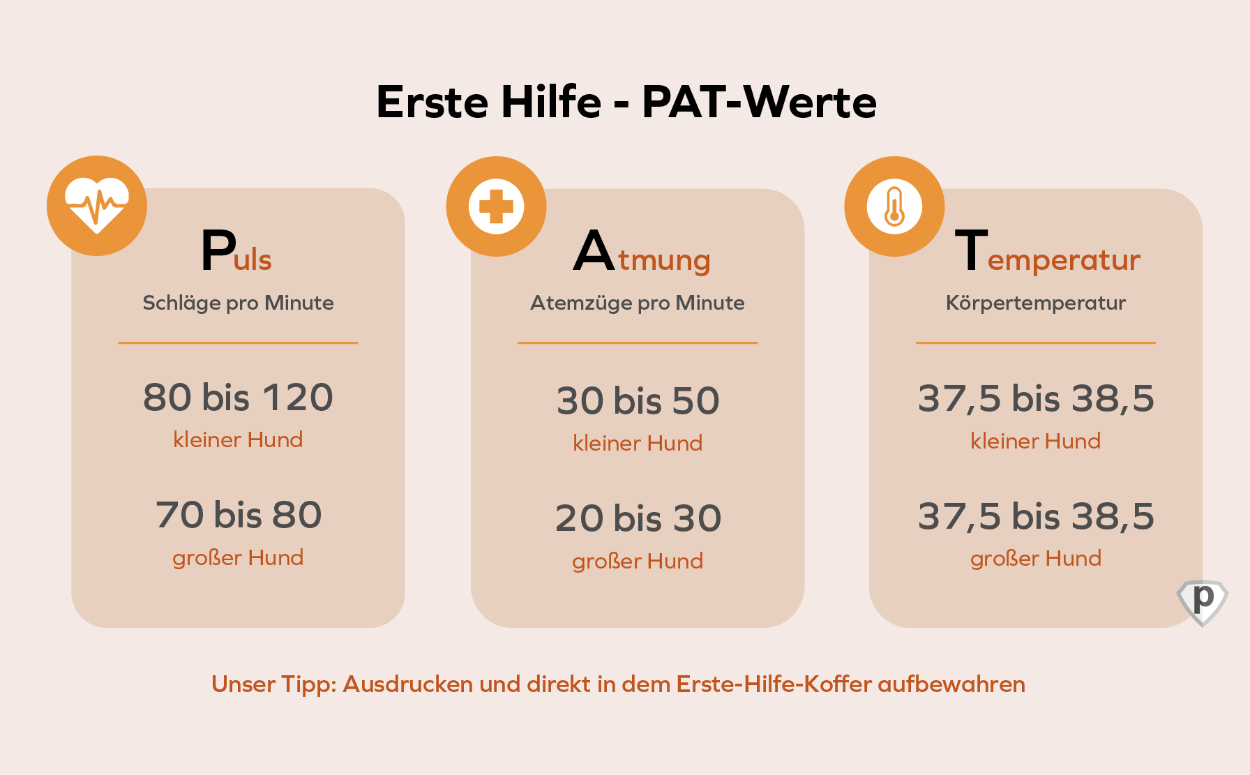 Erste Hilfe am Hund - Lebenswichtiges Grundwissen